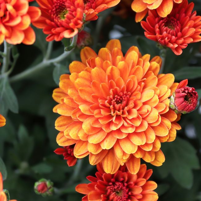 Easy Fall Porch Decor Ideas - From Farmhouse to Florida