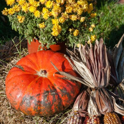 Easy Fall Porch Decor Ideas - From Farmhouse to Florida