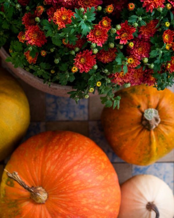 Easy Fall Porch Decor Ideas - From Farmhouse to Florida