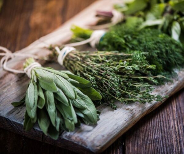 From The Garden to the Pantry - From Farmhouse to Florida