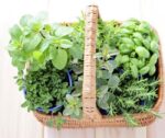What Is A Portable Herb Garden? - From Farmhouse to Florida