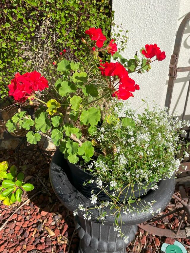 Grow With Ease: Mastering Gardening Zones in 7 Steps - From Farmhouse ...